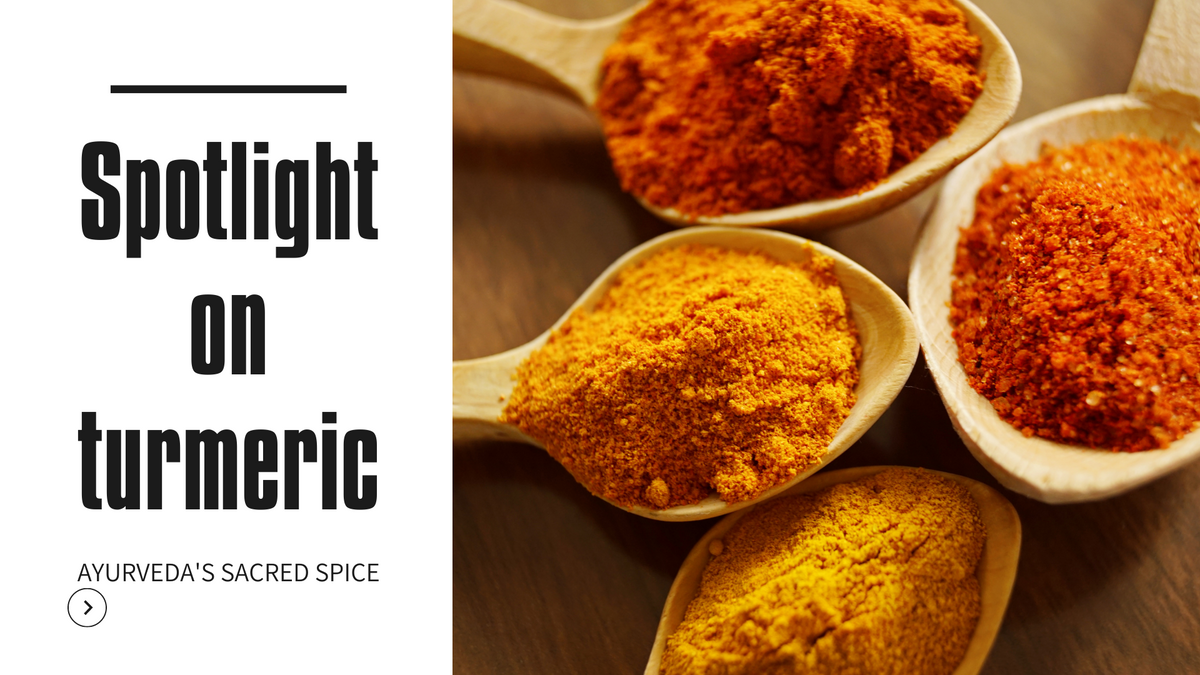 Spotlight on Turmeric, Ayurveda's Sacred Spice – Applied Science Nutrition